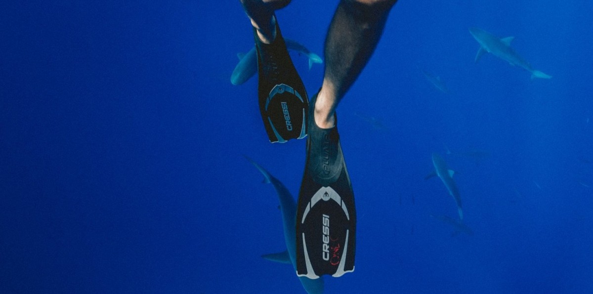 Qué es la talasofobia y consejos para superarla progresivamente ...